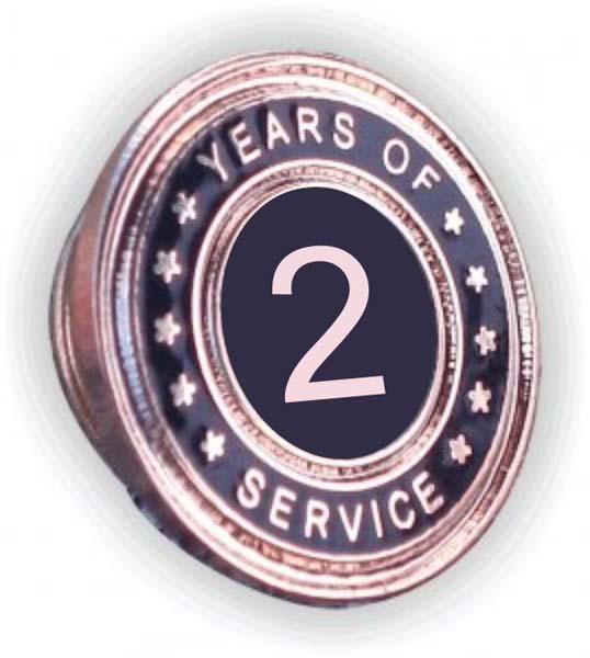 Years of Service Lapel Pin - 2 Year - $4.75 | NiceBadge™