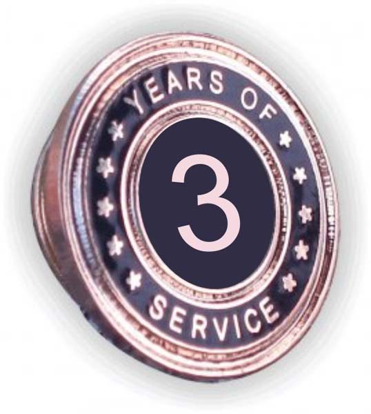 Years of Service Lapel Pin - 3 Year - $4.75 | NiceBadge™